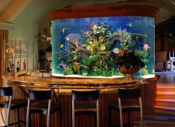 How Movers Safely Transport Aquariums - Flash Moving & Storage